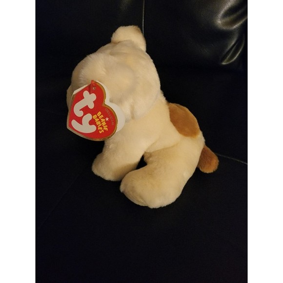 TY Beanie Boo | Toys | Ty Beanie Boo Houghie The Pug Big Eyes 220 2 ...